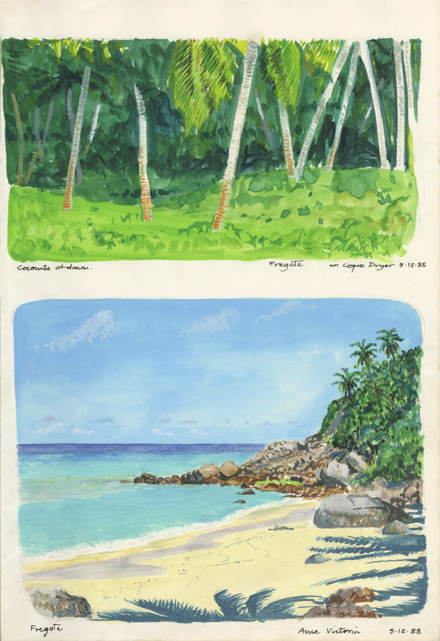 Fregate, Anse Victorin - Rookwood Art & Print